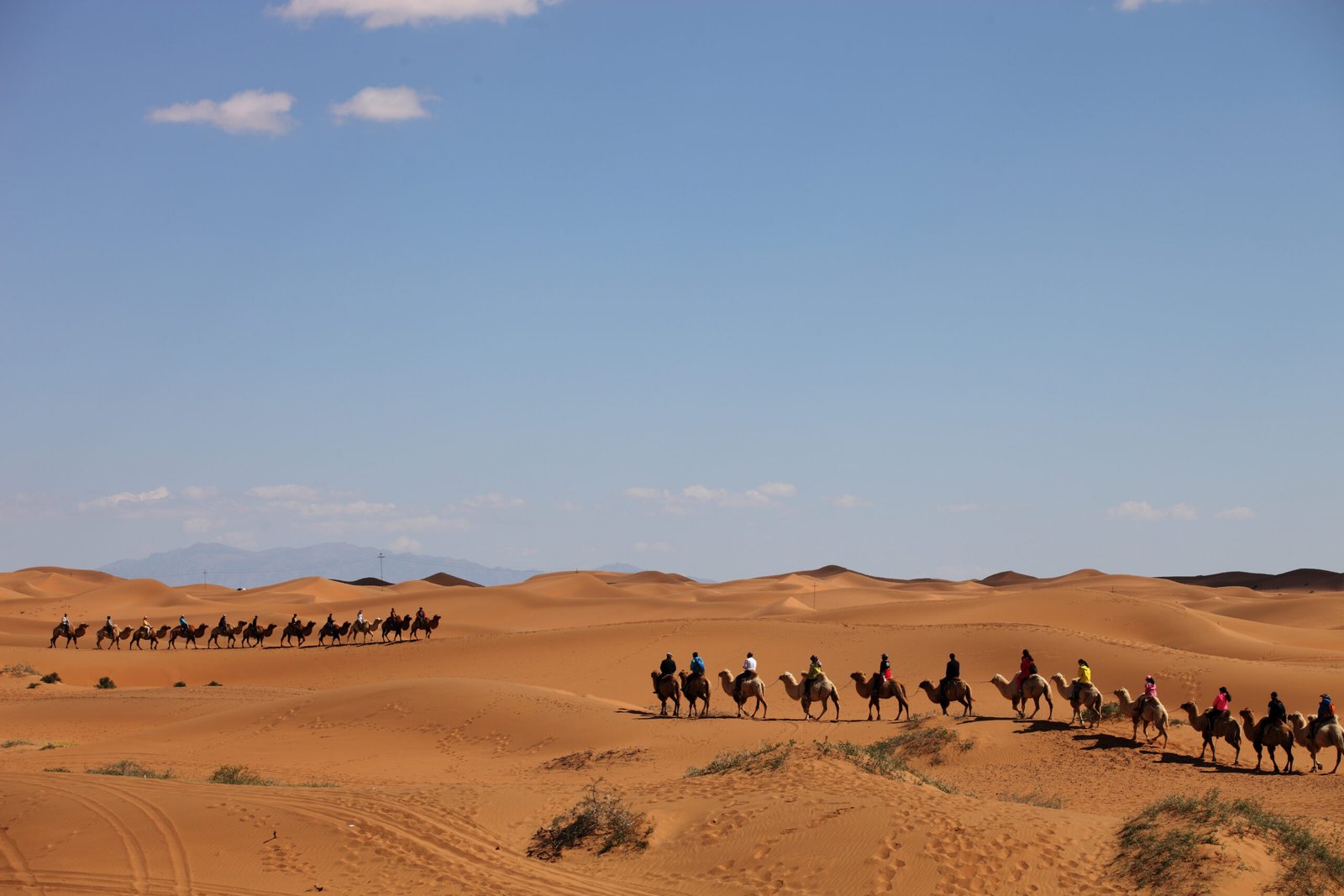 The Silk Road: How It Shaped the Modern World - HistoryMarch